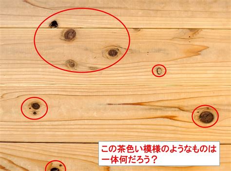 木材の節（ふし）って何？