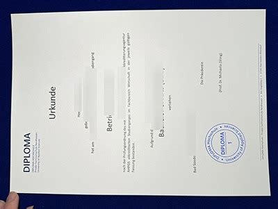 Fake DIPLOMA Fachhochschule Nordhessen Urkunde