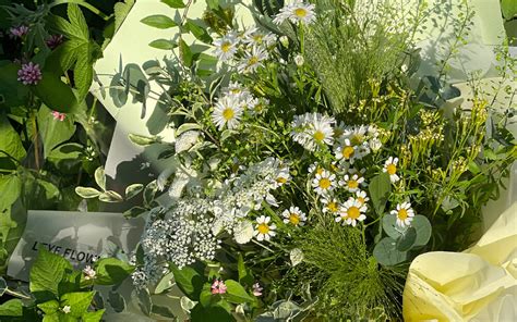 명화 🪷수련 연못 꽃다발🌿 모네