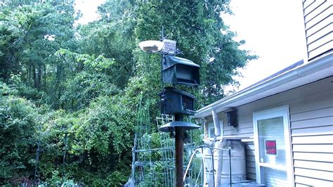 Bear Proof Bird Feeder System At Katie Jenkins Blog