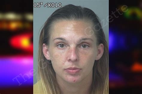 Frances Plummer — Gwinnett County Jail Bookings