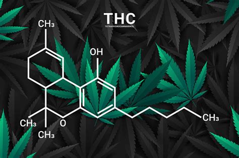 Thc 또는 테트라하이드로칸 나비놀 분자 구조 화학 포뮬러 Thc에 대한 스톡 벡터 아트 및 기타 이미지 Thc 개념 과학 Istock
