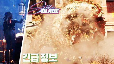 스텔라 블레이드 긴급 정보｜stellar Blade 이지 서브퀘스트 Youtube