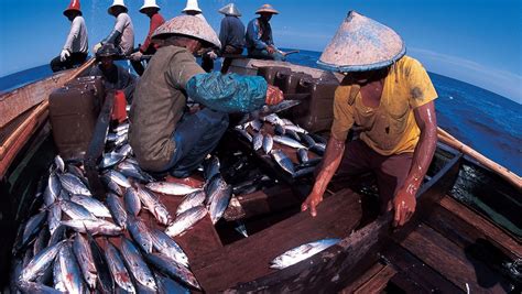 Kondisi Ekonomi Maritim Di Indonesia Dan Negara Negara Asean Homecare24