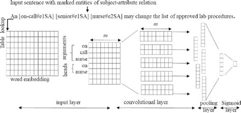 the architecture of the cnn model the marked or annotated arguments