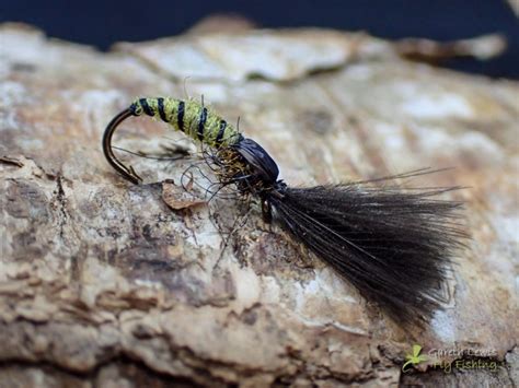 Grannom Emergers Gareth Lewis Fly Fishing