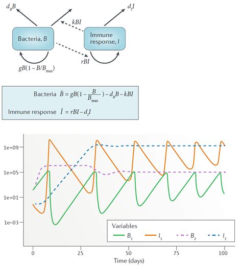 Types Of Simulation Models