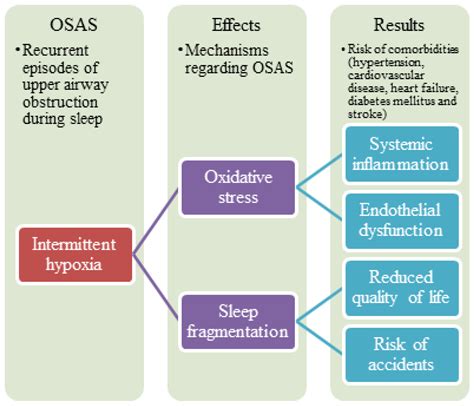 Diagnosis Sleep Apnea Results