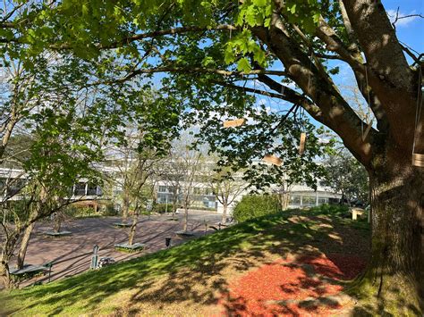 Lycée Blaise Pascal 18 Rue Alexandre Fleming 91401 Orsay Cedex