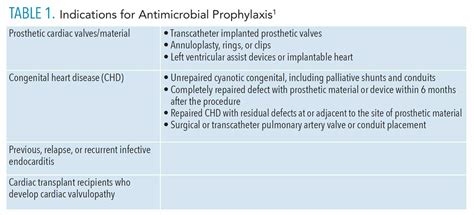 Antibiotic Prophylaxis For Dental Procedures Infective Endocarditis At Miguel Tardiff Blog