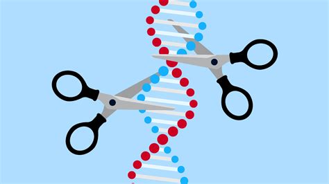 15 Intriguing Facts About Gene Editing Eg Crispr Cas9