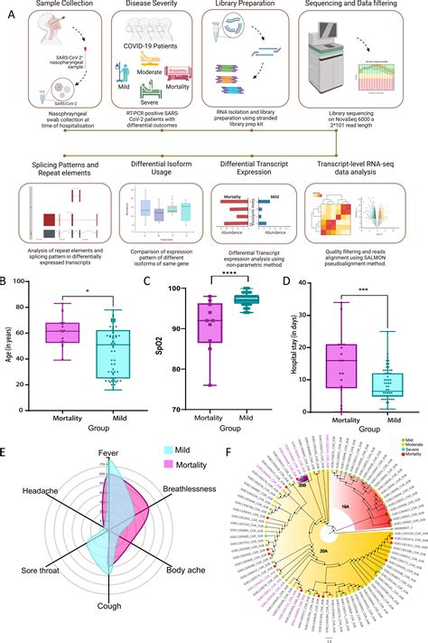 Sars Cov 2 Infection Severity And Mortality Is Modulated By Repeat Mediated Regulation Of