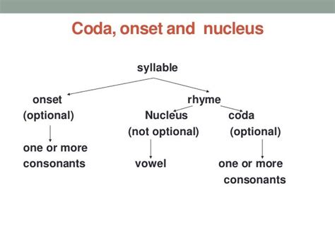 Syllable In Phonology