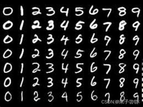 Pytorch 把mnist数据集转换成图片和txt的方法 Pytorch读取mnist数据集mob6454cc76bc4a的技术博客