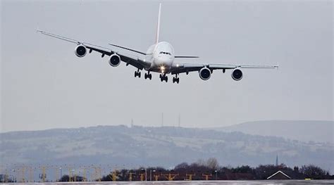 Estas fueron las aerolíneas más puntuales en noviembre FlyLinkers News