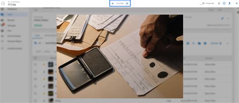 Pro Previewing Files Guardify
