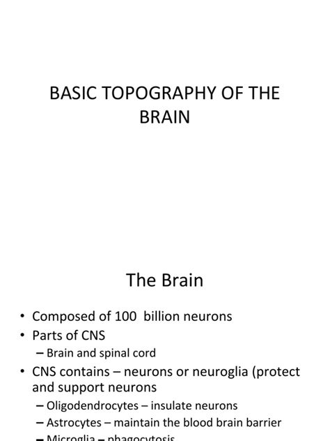 Lecture On Neuro Pdf Self Improvement