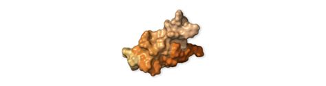 Bad News Wrapped In Protein Inside The Coronavirus Genome The New
