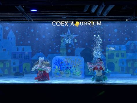 ‘바닷속 크리스마스 축제 이색 이벤트 펼치는 코엑스 아쿠아리움 매일경제