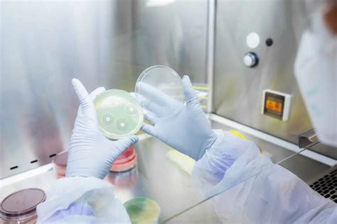 Research Develops New Tool To Treat Deadly Superbug