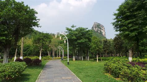 柳州马鹿山 柳州马鹿山中学 大山谷图库