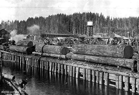 The Northwests Logging Heritage