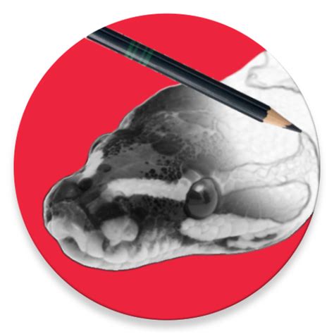 Github Sebastiaan Alvarez Rodriguezpythonator