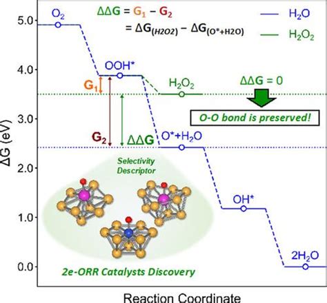验证氧还原反应电合成 H2o2 的 ΔΔg 选择性描述符angewandte Chemie International Edition