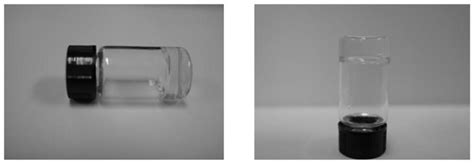 Self Assembly Polypeptide And Sustained Release Exosome Polypeptide