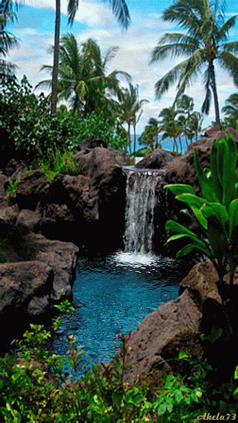 Animé Plaisir Passion Beautiful Photos Of Nature Beautiful Nature