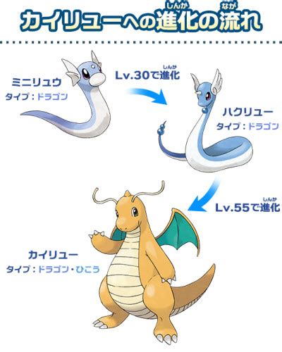 ミニリュー！ハクリュウ！カイリュウ！｜あにまん掲示板