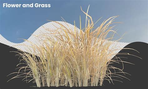 Premium Psd Dry Grass Isolated Dry Grass Field