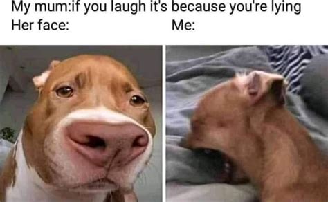 My You Laugh Its Because Youre Lying Her Face Me Ifunny