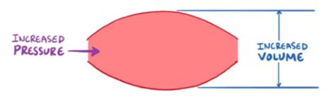 Lec Flashcards Quizlet