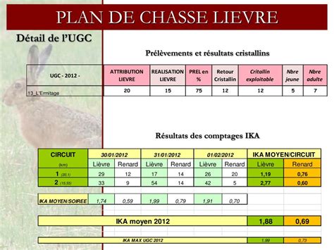 Ppt Plan De Chasse Lievre Powerpoint Presentation Free Download Id