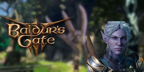 Baldurs Gate 3 The Unwritten Rules Of Playing A Druid Explained