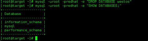 企业级 mysql数据库的搭建及管理 真实商业公司里的mysql数据库 csdn博客