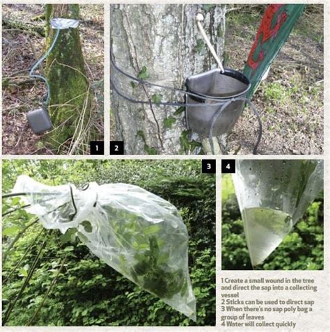 Drinking From Trees Adventure Bike Rider