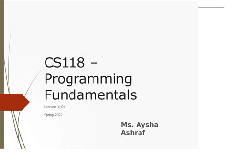 summary want to learn programming programming fundamental cs118 stuvia us