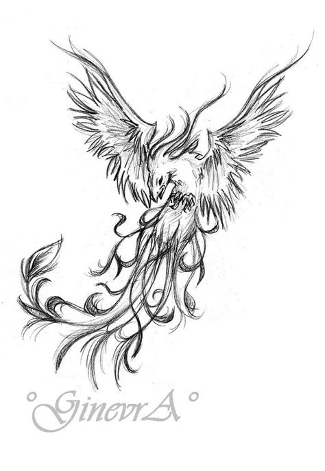 Japanese Phoenix Drawing At Getdrawings Free Download