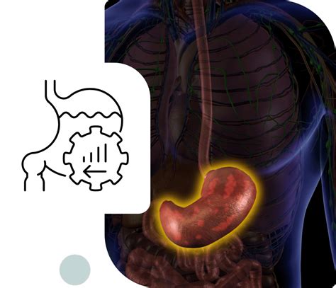 Gastroparesis Tampa Bay Reflux Institute