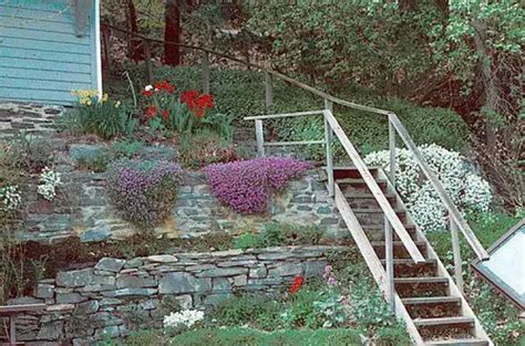 Garden Design Ideas For Steep Gardens Fasci Garden