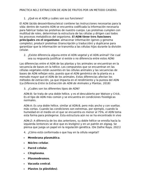 Qué Es El Adn Y Cuáles Son Sus Funciones Pdf Adn Biología Celular