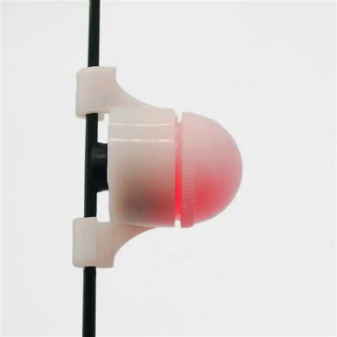 Indicator Fish At Harry Oloughlin Blog