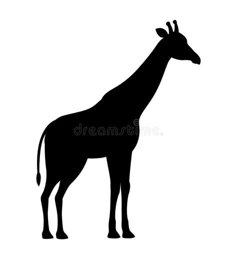 Giraffe Silhouette Stock Illustrations 16196 Giraffe Silhouette