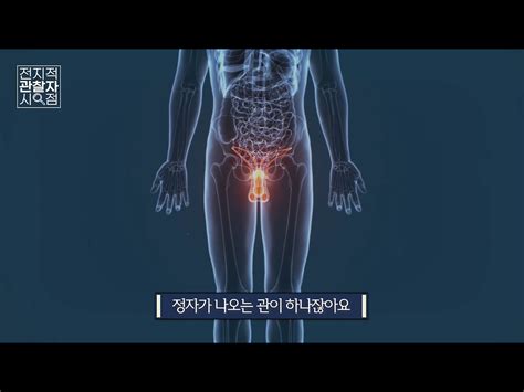 더쿠 여성은 왜 월경을 하게 되었을까