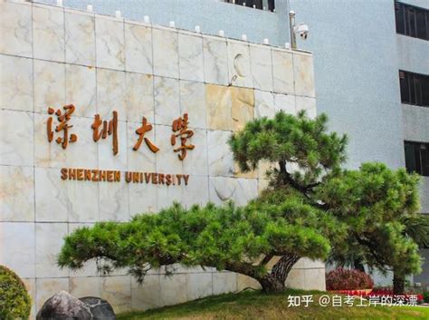 深大优课是正规机构吗过来人的真实经验分享 知乎
