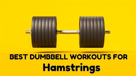 7 Best Dumbbell Exercises To Strengthen Your Hamstrings Workoutable