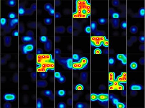 Hipsc Human Induced Pluripotent Stem Cells Cell Applications