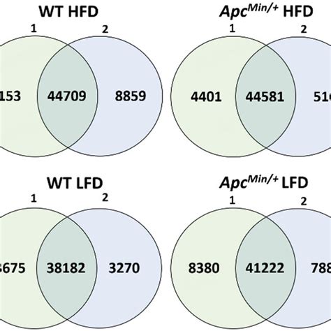 Normalized Chip Seq Tracks Illustrating Representative Examples Of